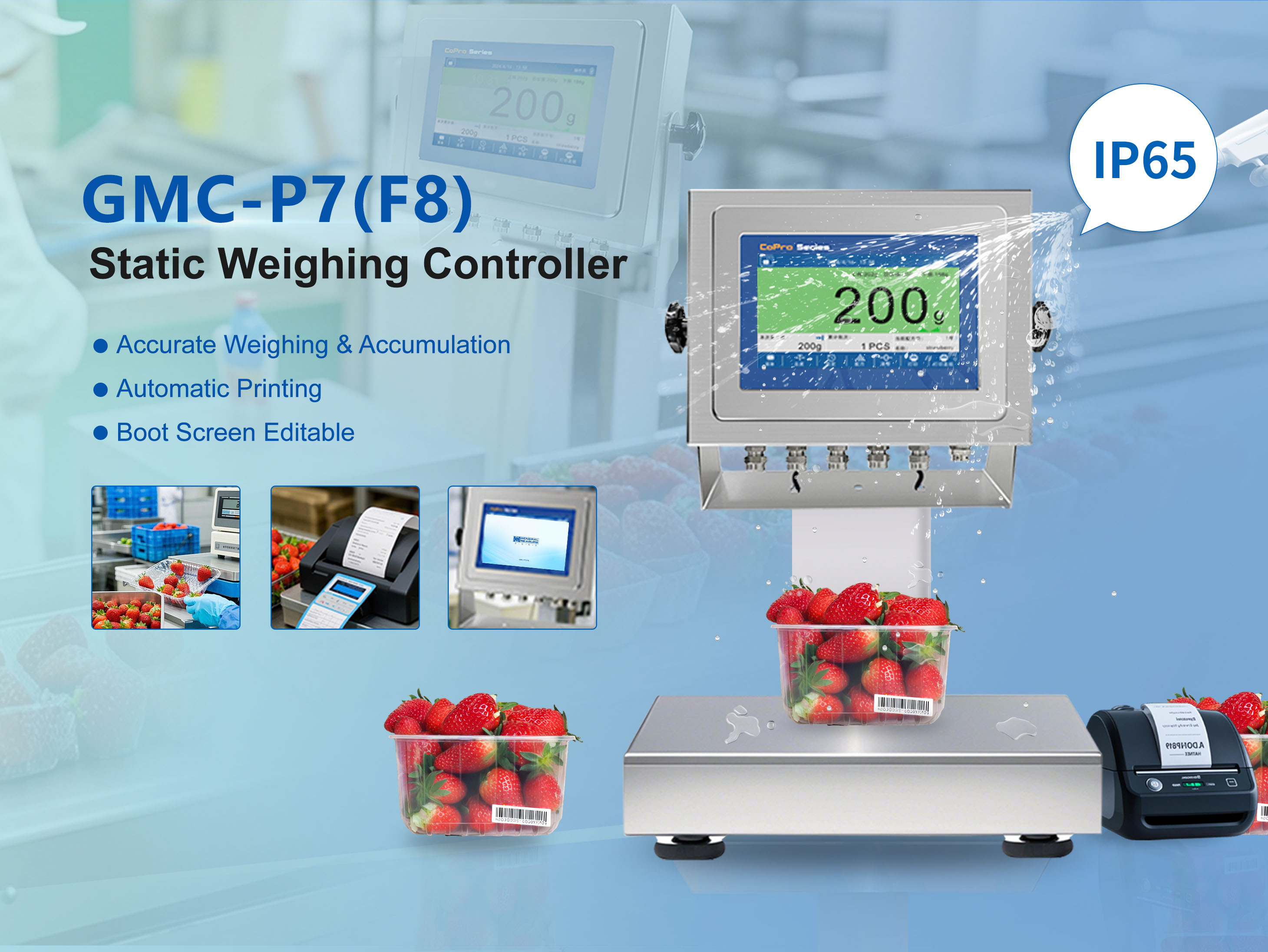 Weight indicator | Checkweigher | Remote Display | General Measure ...